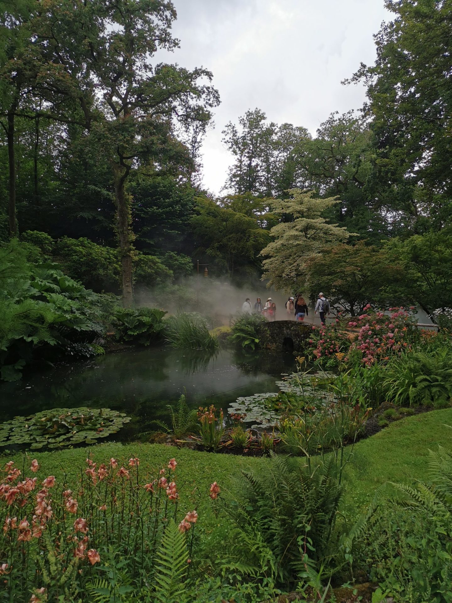 Fiche pratique : Description des végétaux | HQE Paysage