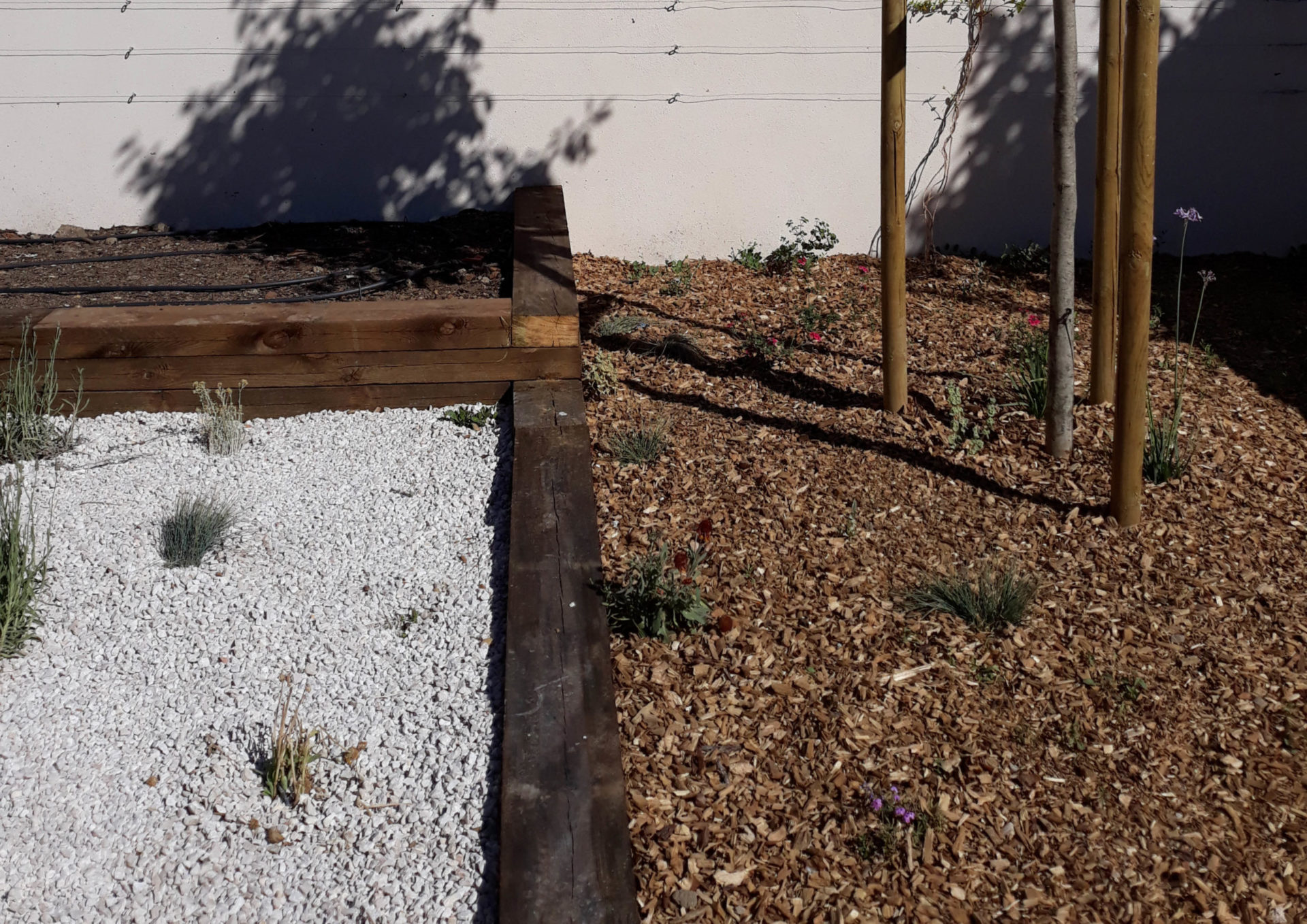 Fiche pratique: le Paillage | HQE Paysage